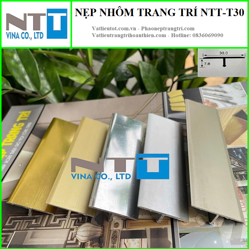 Nẹp Nhôm NTT-T30